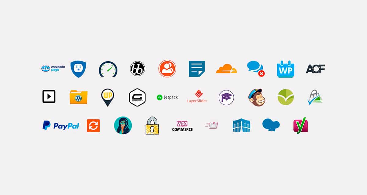 WordPress Developer in Miami - BigRedes